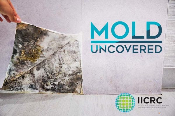 IICRC Launches Mold Uncovered Campaign - Cleanfax