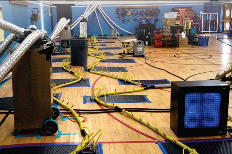 Generating Pure Air: Ozone and Hydroxyl Generators | Cleanfax