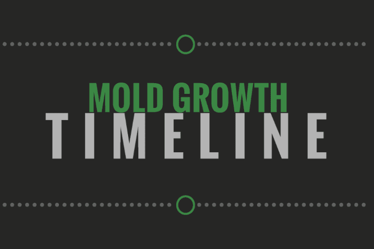 Infographic Timeline: How long does mold growth take?